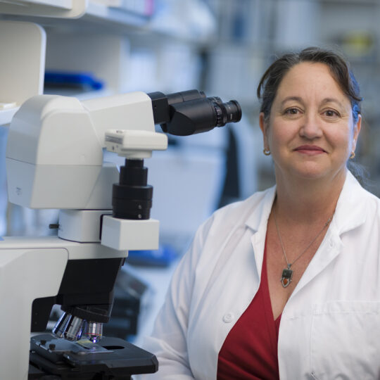 Mayo Clinic Alumni Association | Mayo Clinic names 2020 Florida and ...